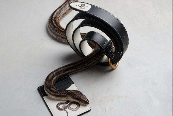 Snake Pack & DUKE + DEXTER